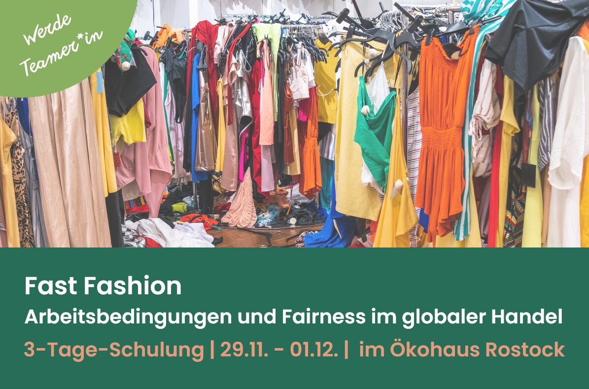 Multi-Weiterbildung: Fast Fashion - Arbeitsbedingungen und Fairness im ...